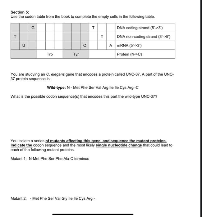 Solved Section 5: Use the codon table from the book to | Chegg.com
