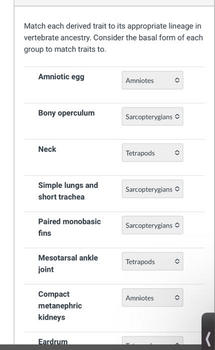 Solved Paedomorphism is well known in species of | Chegg.com