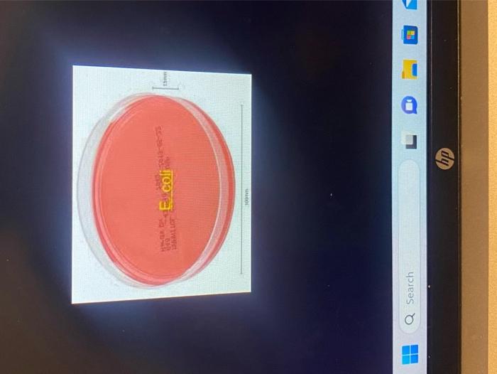 Starch plate - Data OF-glucose - | Chegg.com