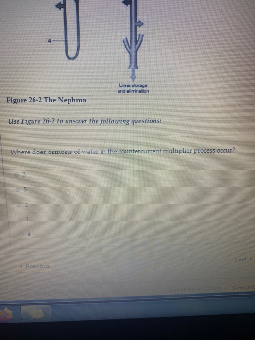 Solved luck! Question 13 Figure 26-2 The Nephron Use Figure | Chegg.com Solved luck! Question 13 Figure 26-2 The Nephron Use Figure | Chegg.com