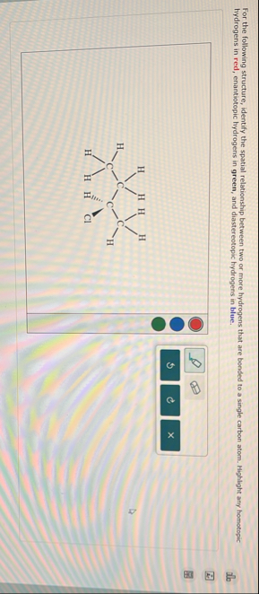 For the following structure, identify the spatial | Chegg.com