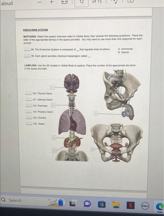 Solved REPRODUCTIVE SYSTEM MATCHING: Watch the system | Chegg.com