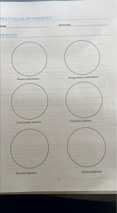 Solved please i need to write a pre lap for this i provide | Chegg.com