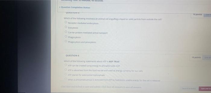 Solved Whech of the following bert desoribes how entymes | Chegg.com