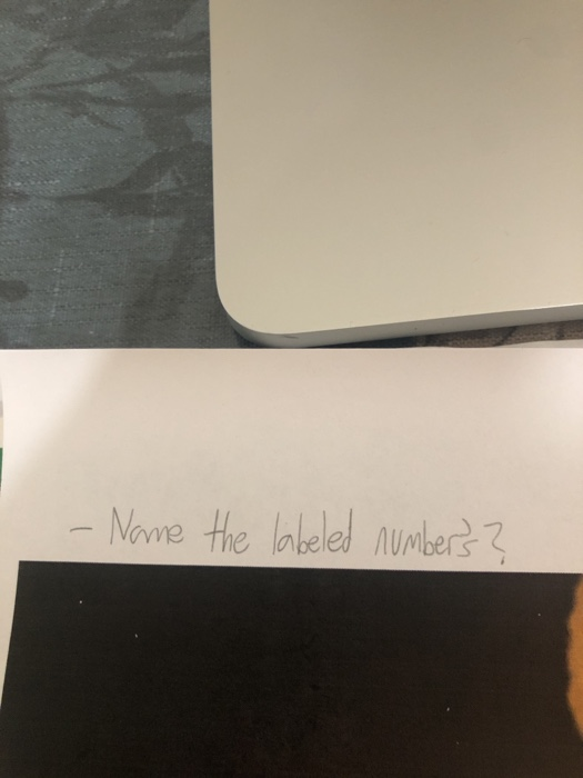 Solved - Name the labeled numbers | Chegg.com