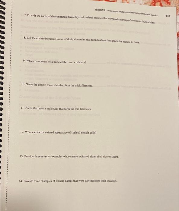 Solved EXERCISE 12 REVIEW SECTION Microscopic Anatomy and | Chegg.com