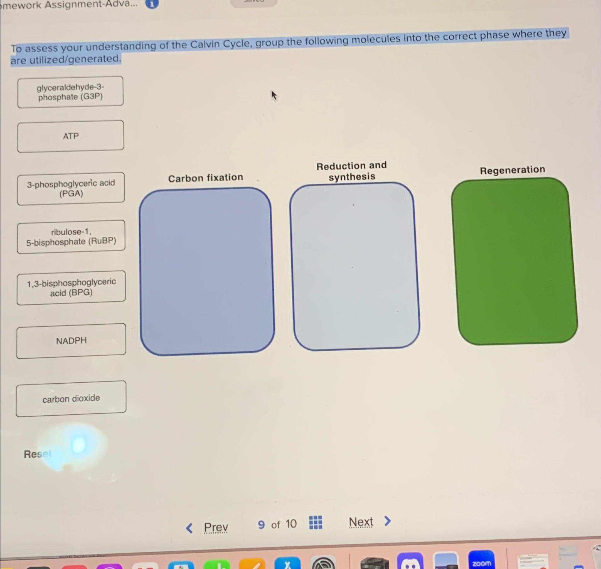 Solved To assess your understanding of the Calvin Cycle, | Chegg.com
