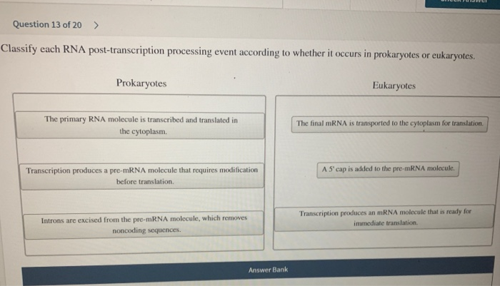 Solved Question 13 of 20 > Classify each RNA | Chegg.com
