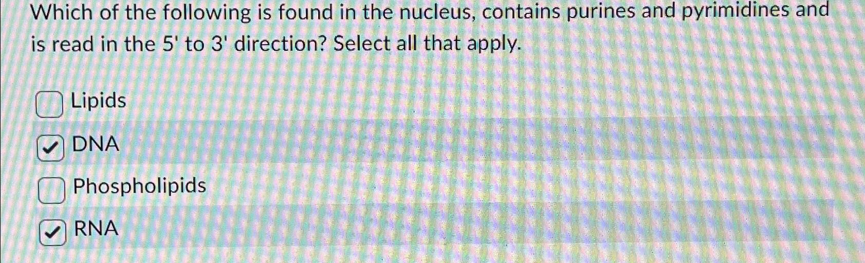 Solved Which of the following is found in the nucleus, | Chegg.com