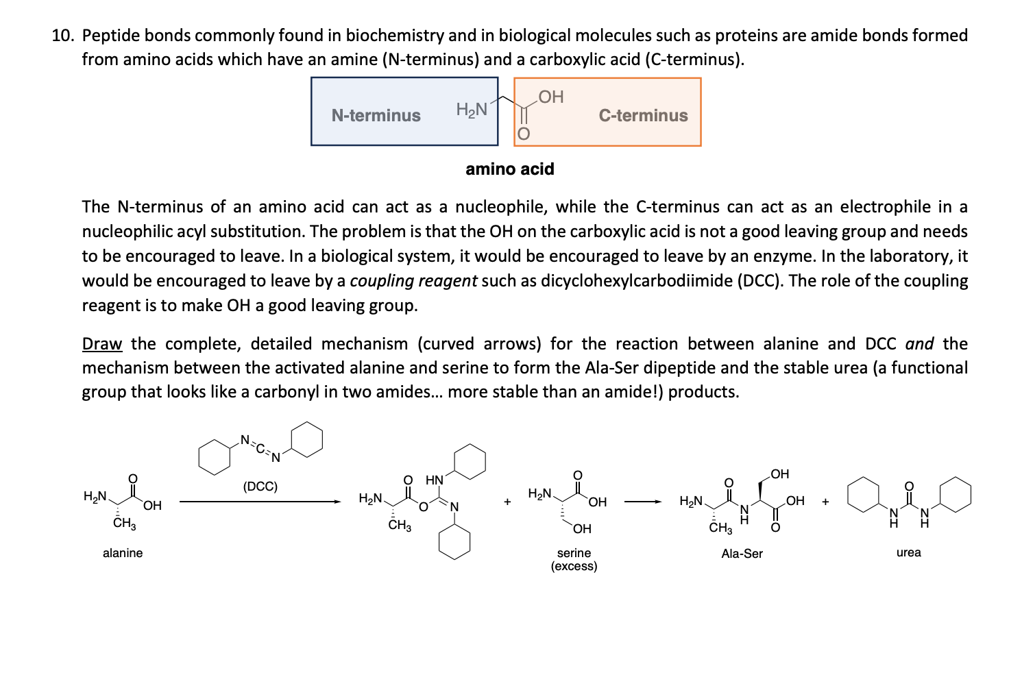 Solved Peptide bonds commonly found in biochemistry and in | Chegg.com