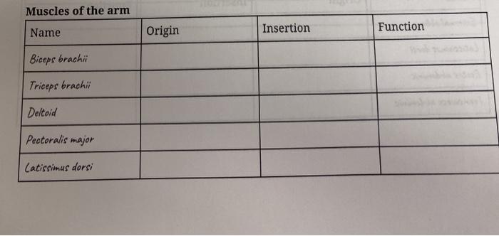 Solved Muscles of the arm Name Origin Insertion Function | Chegg.com
