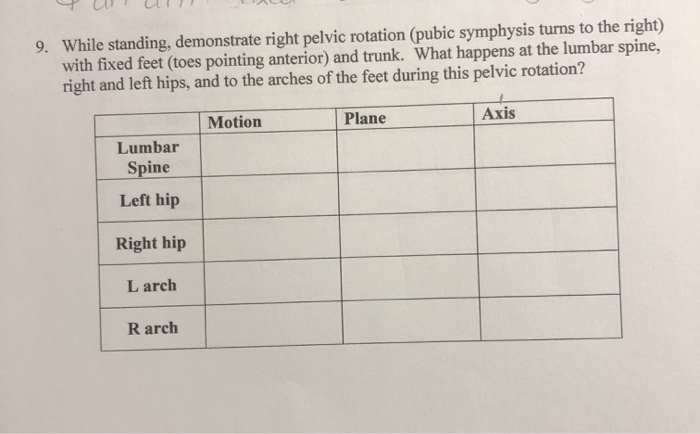 9. While standing, demonstrate right pelvic rotation | Chegg.com