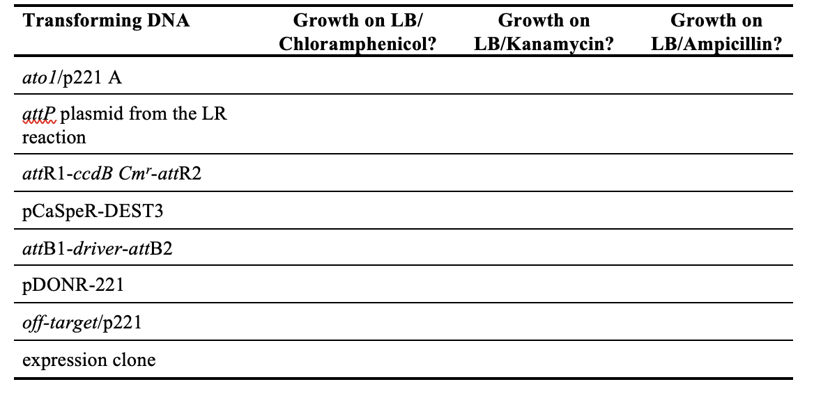 Solved DH5\alpha competent cells will be transformed with | Chegg.com