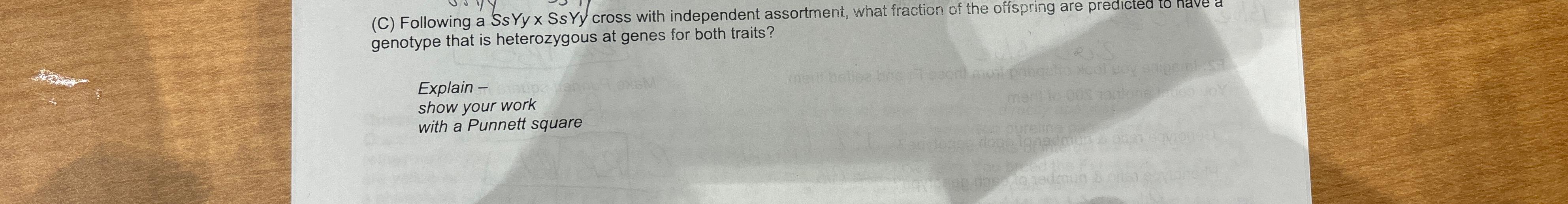 Solved (C) ﻿Following a SsYy × ﻿SsYy cross with independent | Chegg.com
