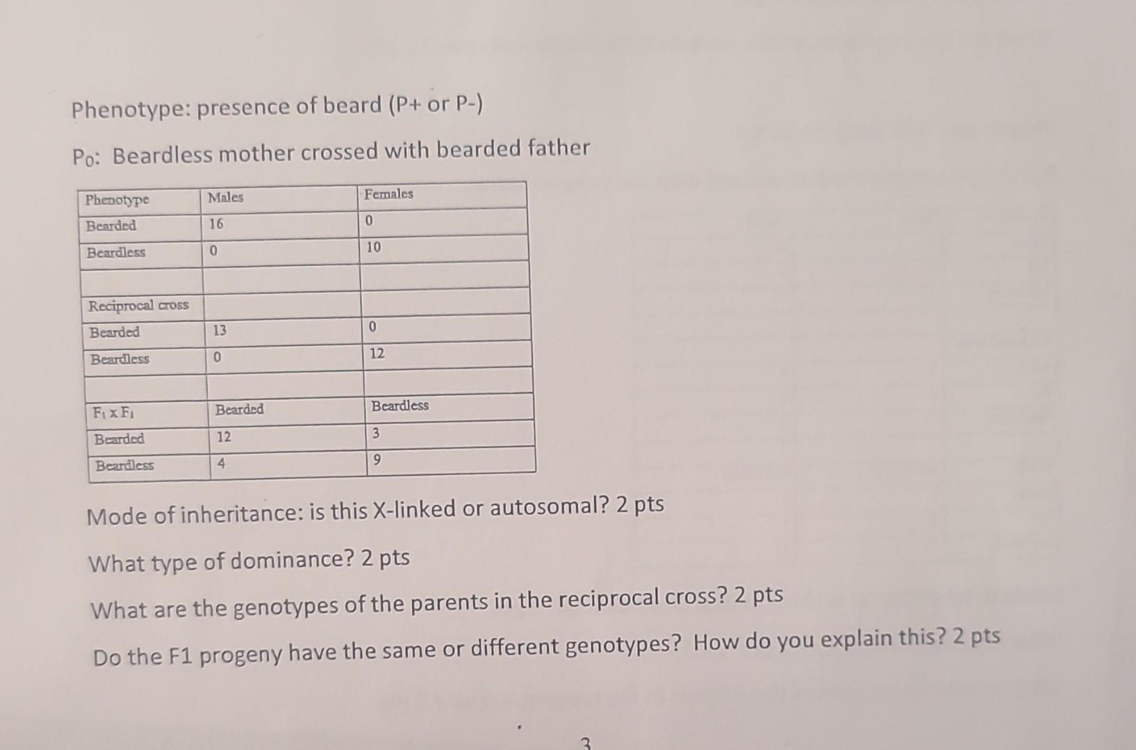 Solved Phenotype: presence of beard (P+ or P−) Po: Beardless | Chegg.com