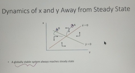 Solved Dynamics of x ﻿and y ﻿Away from Steady StateA | Chegg.com