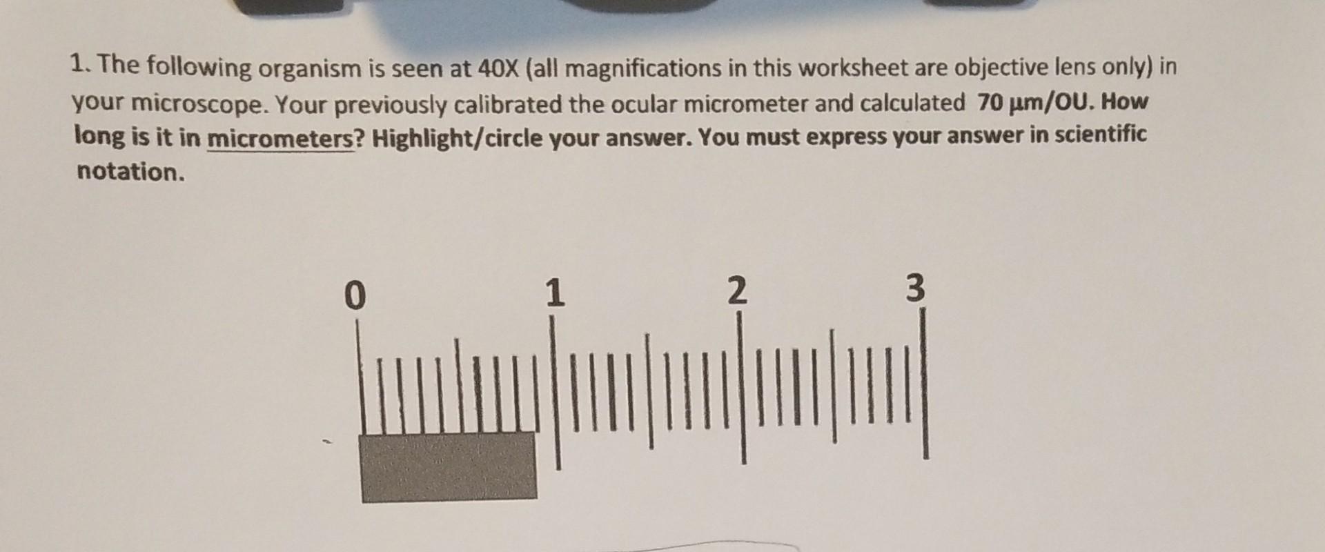 Solved 1. The following organism is seen at 40X (all | Chegg.com