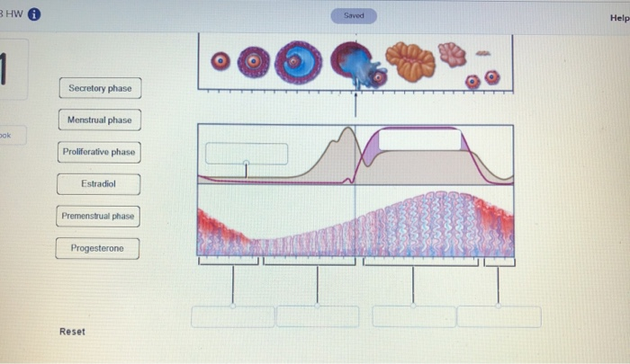 Solved Click and drag each label to accurately identify the | Chegg.com