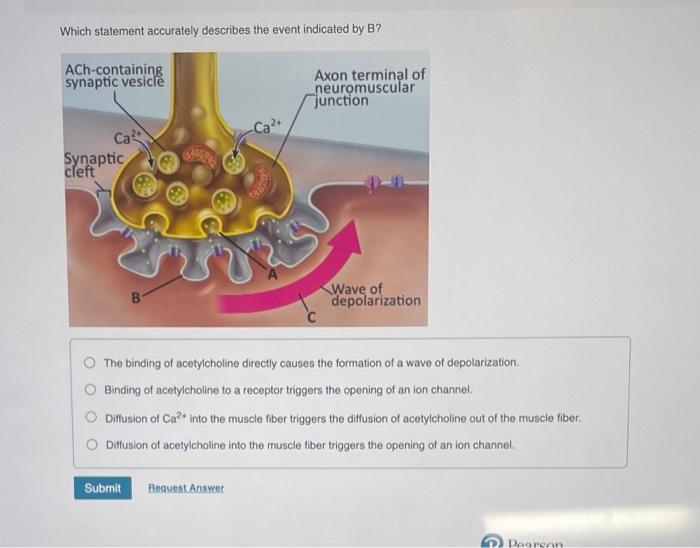 Solved Which statement accurately describes the event | Chegg.com