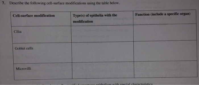 Solved 7. Describe the following cell-surface modifications | Chegg.com
