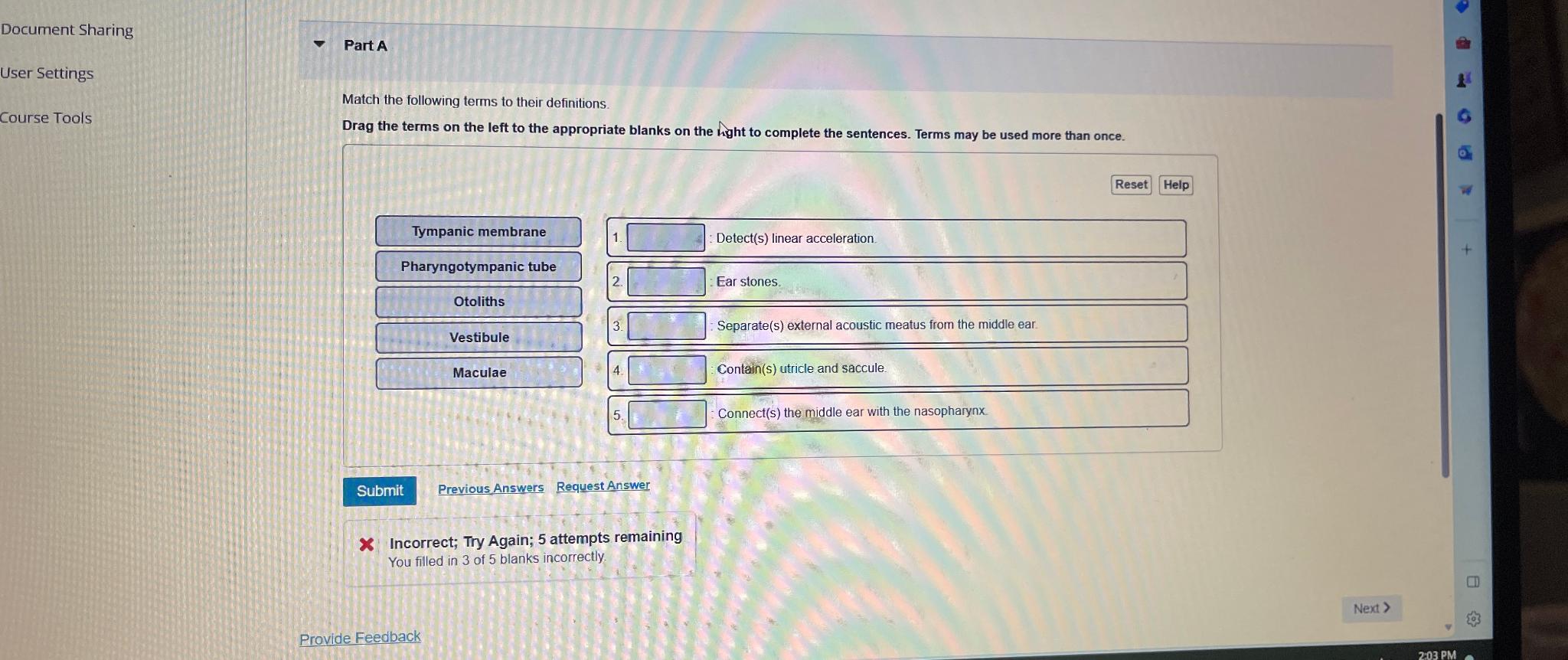 Solved Document SharingPart AUser SettingsCourse ToolsMatch | Chegg.com