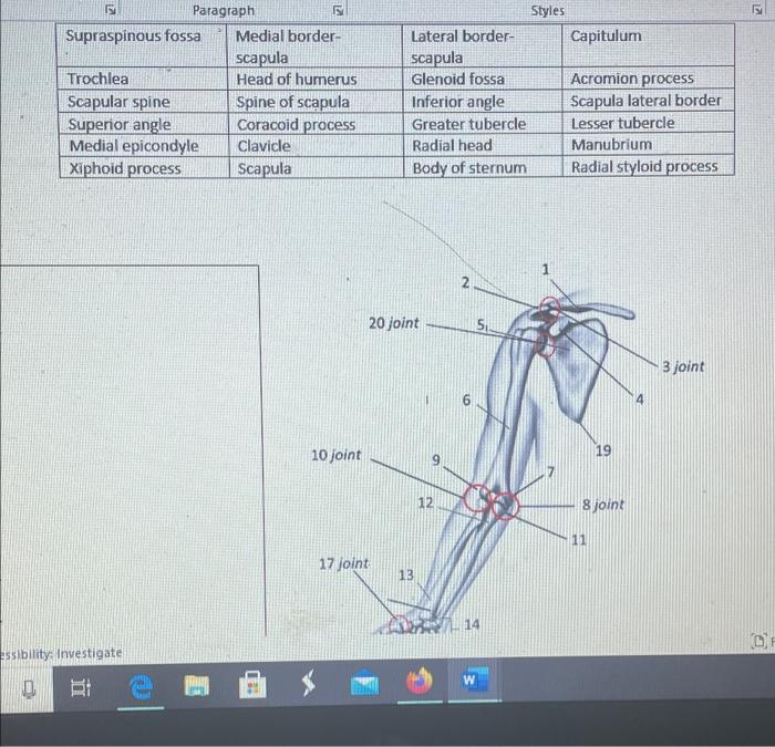 Solved 22 Paragraph Supraspinous fossa Medial border- | Chegg.com