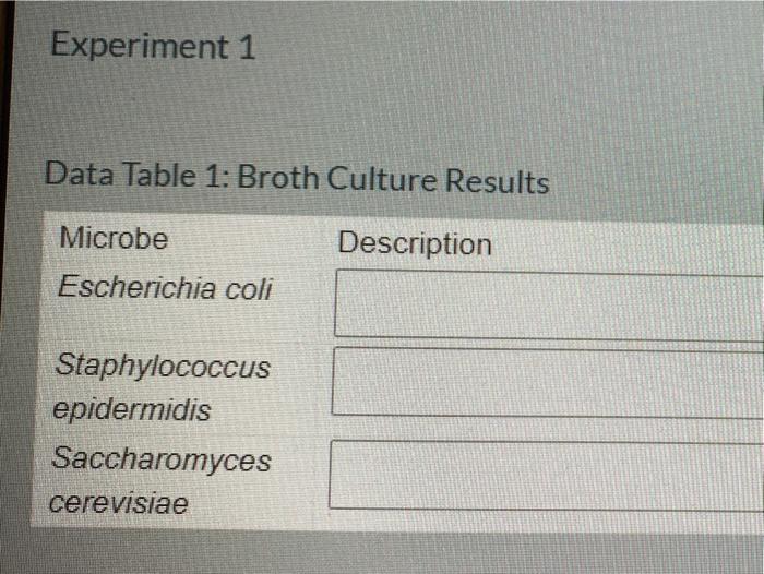 Solved Experiment 1 Data Table 1: Broth Culture Results | Chegg.com