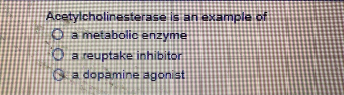Solved Acetylcholinesterase is an example of O a metabolic | Chegg.com