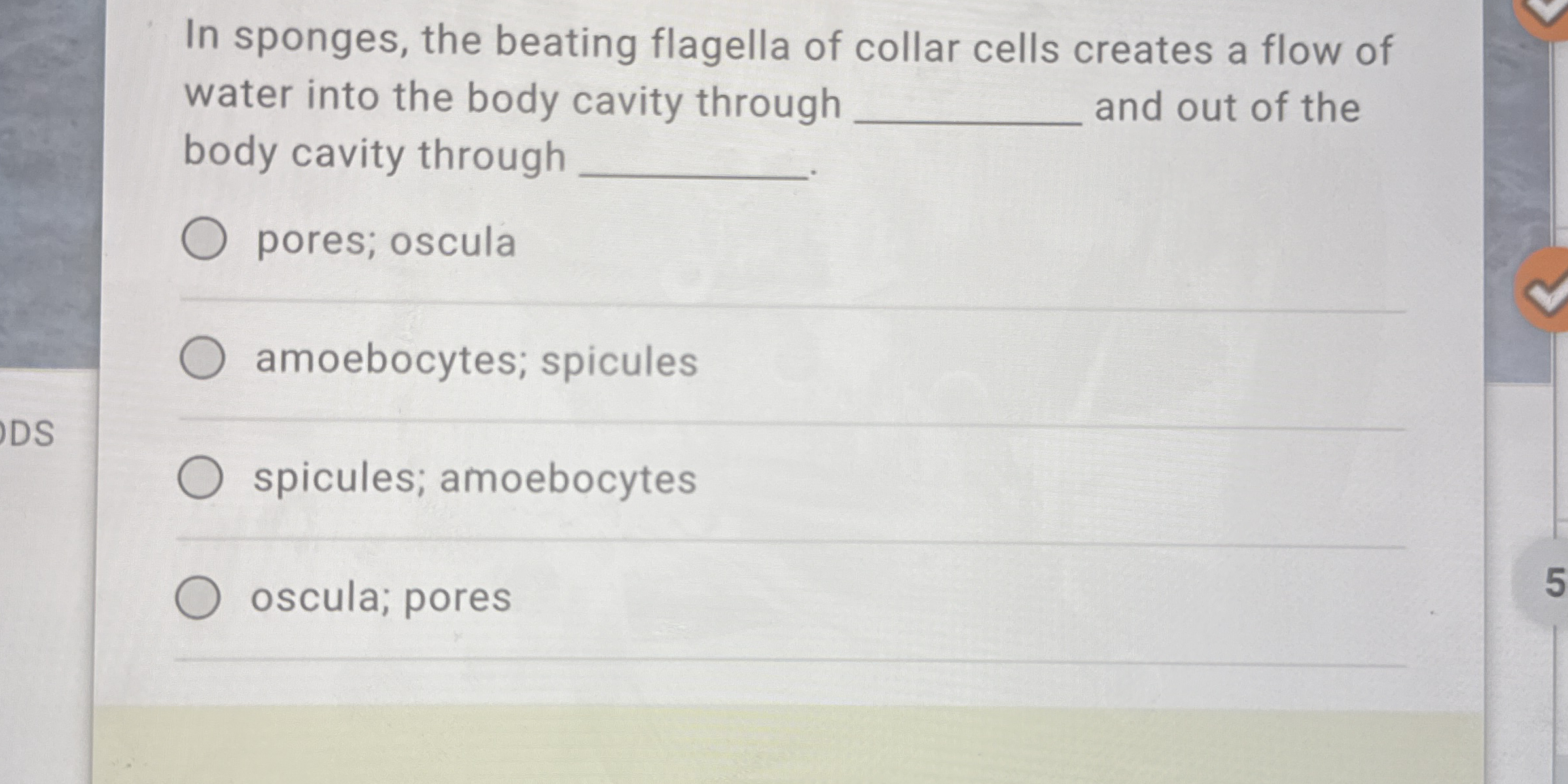 Solved In sponges, the beating flagella of collar cells | Chegg.com