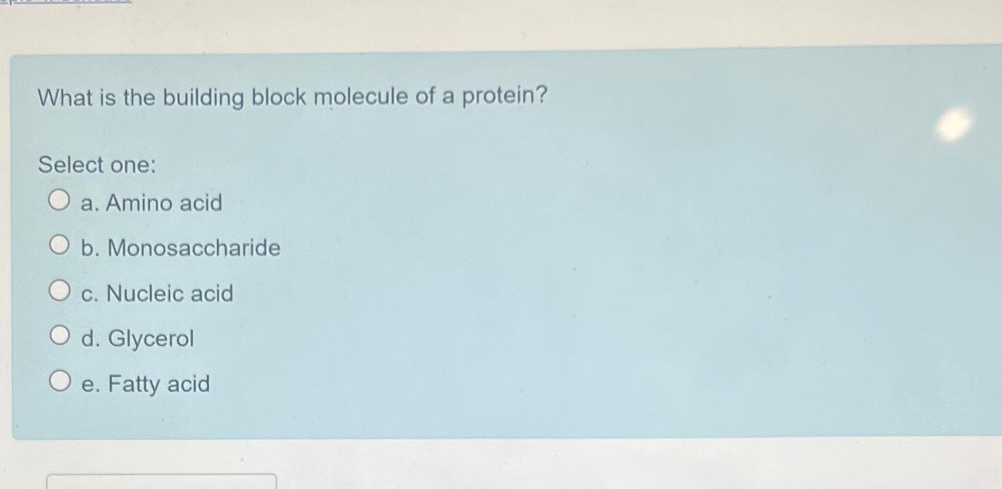 Solved What is the building block molecule of a | Chegg.com