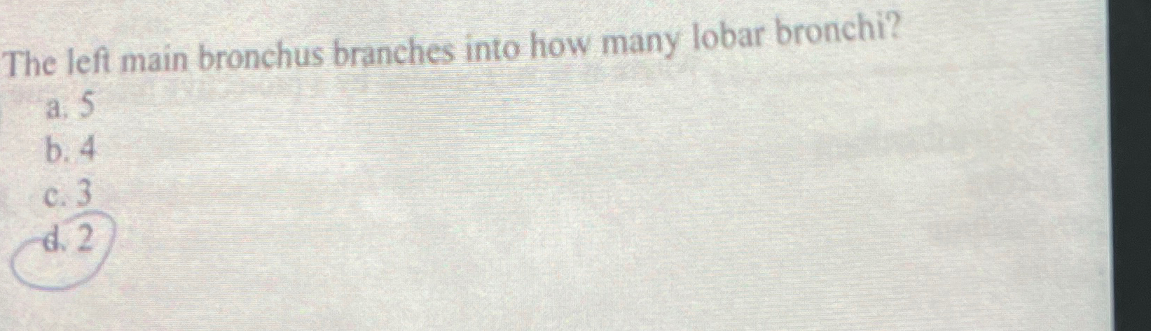 Solved The left main bronchus branches into how many lobar | Chegg.com