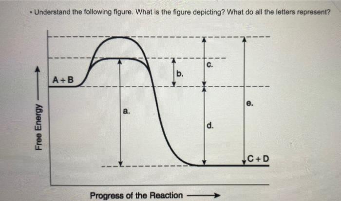 Solved • Understand the following figure. What is the figure | Chegg.com