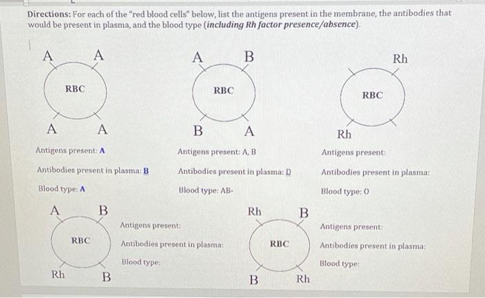 Solved For each of the "red blood cells" below, list the | Chegg.com