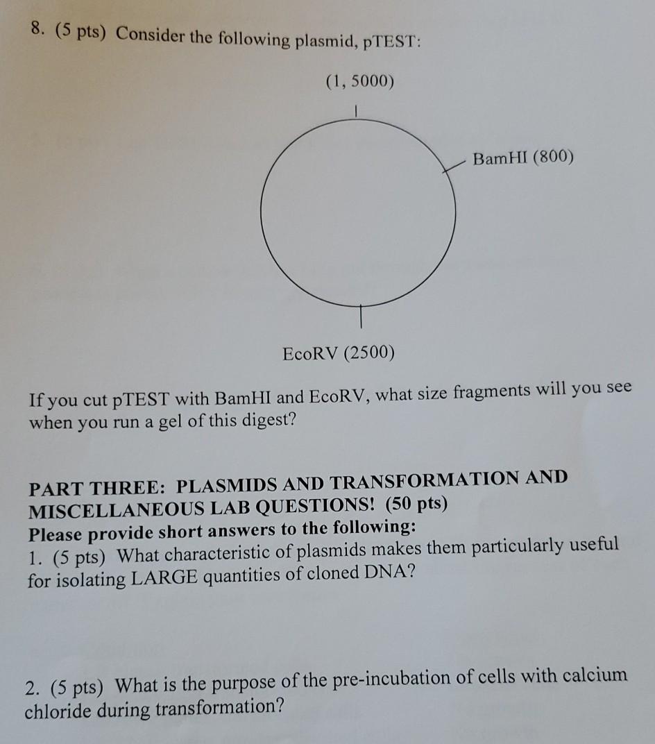 Solved 8. (5 pts) Consider the following plasmid, pTEST: (1, | Chegg.com