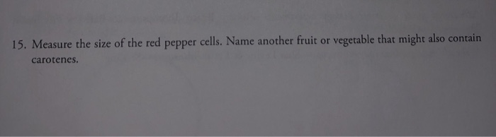 Solved 15. Measure the size of the red pepper cells. Name | Chegg.com