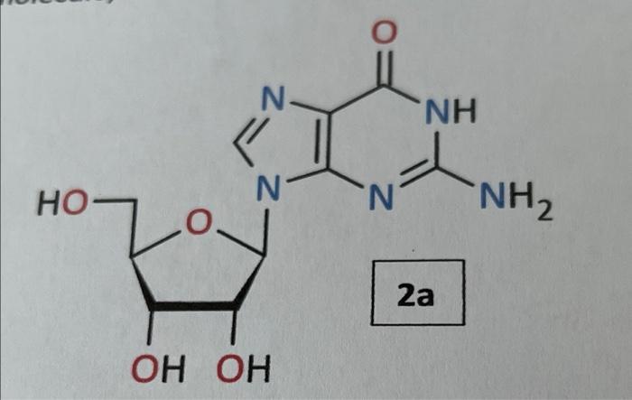 Solved é) Draw the structure of the 5'-triphosphate form of | Chegg.com