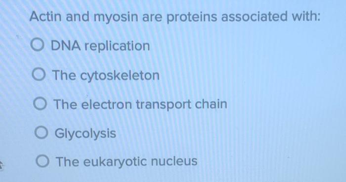 Solved Actin and myosin are proteins associated with: O DNA | Chegg.com