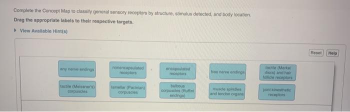 Solved Complete the Concept Map to classily general sensory | Chegg.com