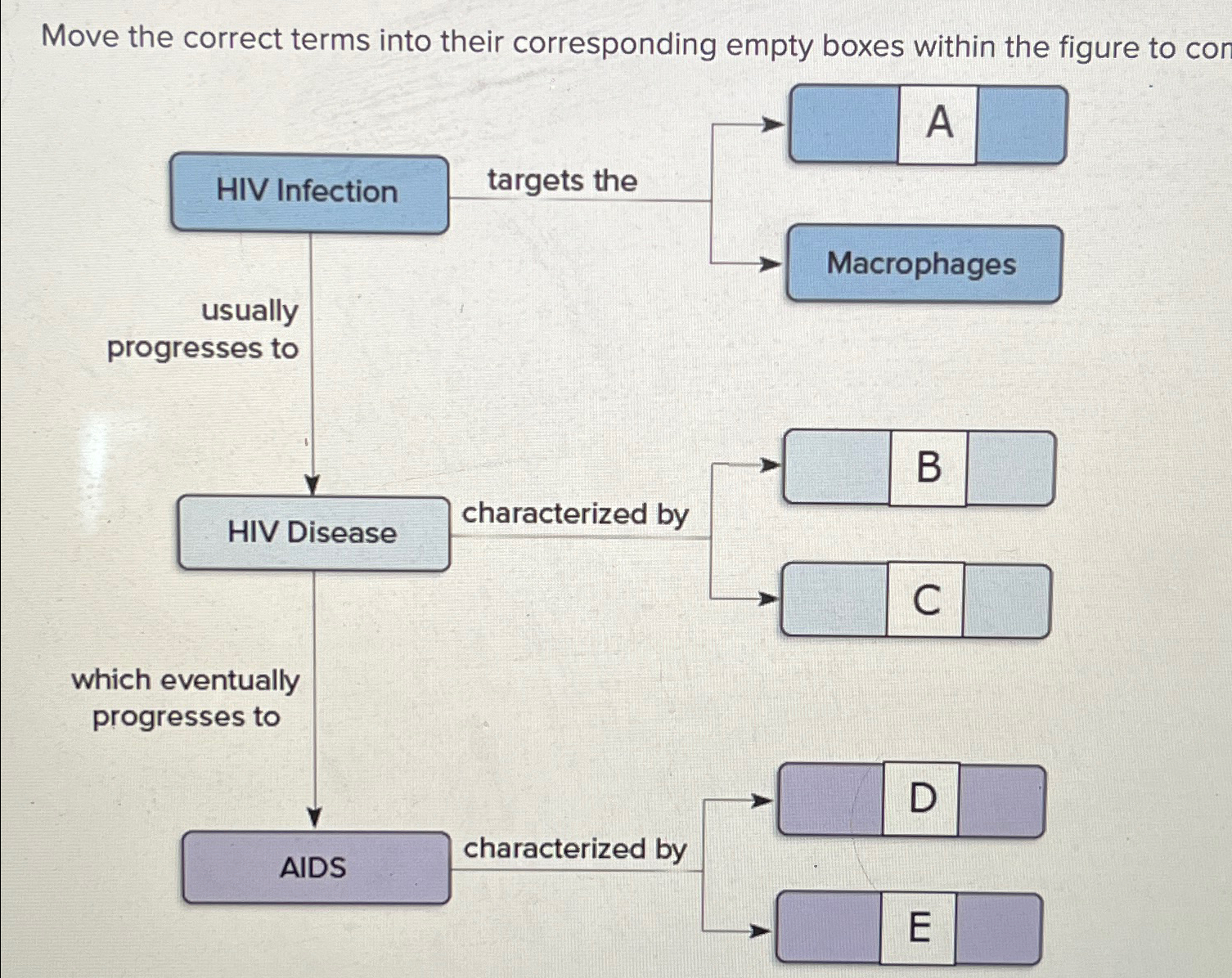 Solved Move the correct terms into their corresponding empty | Chegg.com
