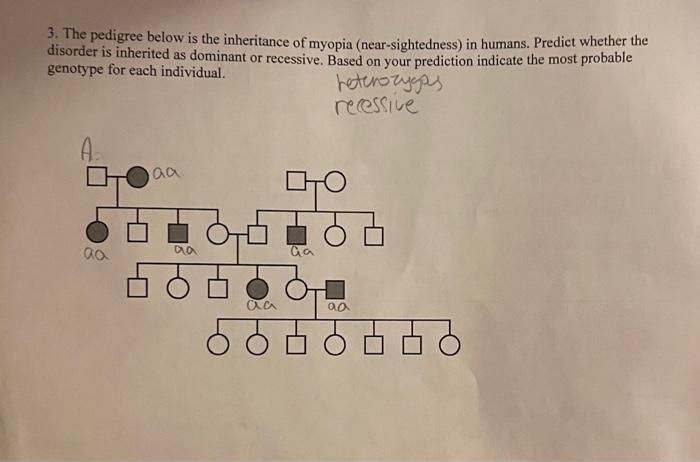 Solved 3. The pedigree below is the inheritance of myopia | Chegg.com