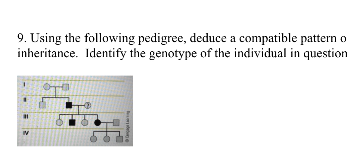 Solved Using the following pedigree, deduce a compatible | Chegg.com