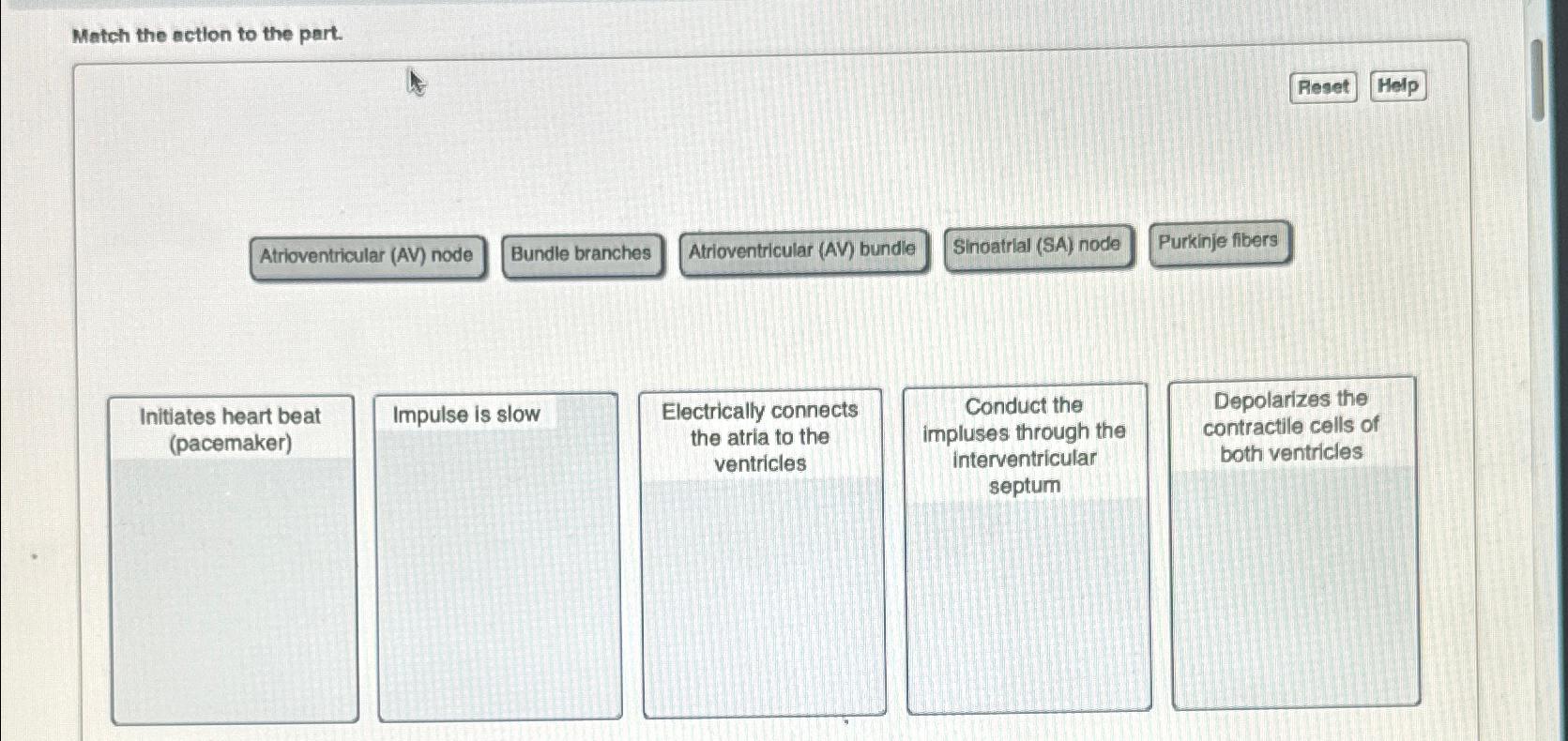 Solved Match the action to the | Chegg.com