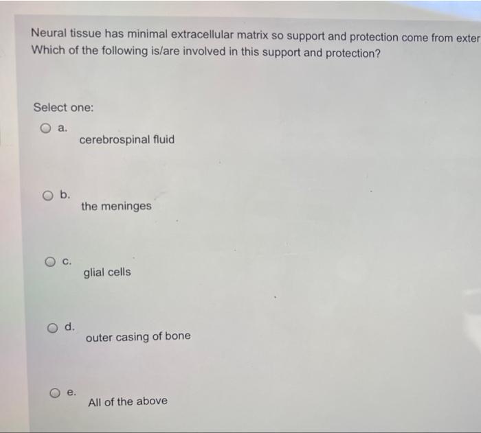 Solved What is the oldest and most primitive region of the | Chegg.com
