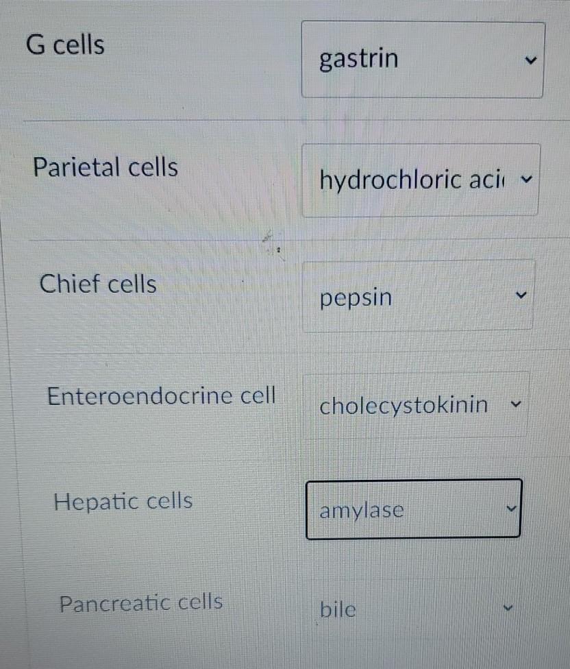 Solved G cells gastrin Parietal cells hydrochloric acii | Chegg.com