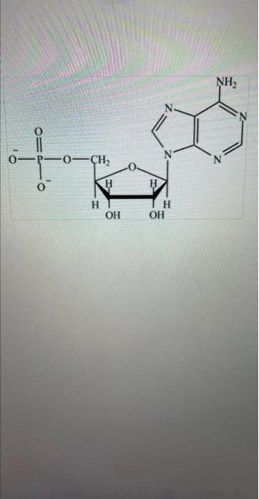 Solved Which is the structure of ATP? Multiple | Chegg.com