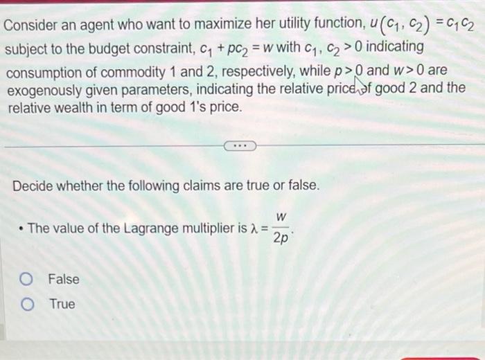 Solved Consider an agent who want to maximize her utility | Chegg.com