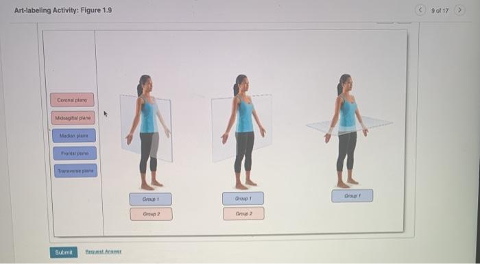 Solved Art-labeling Activity: Figure 1.9 9 of 17 Corone | Chegg.com