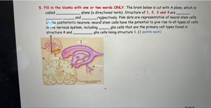Solved 5. Fill in the blanks with one or two words ONLY. The | Chegg.com