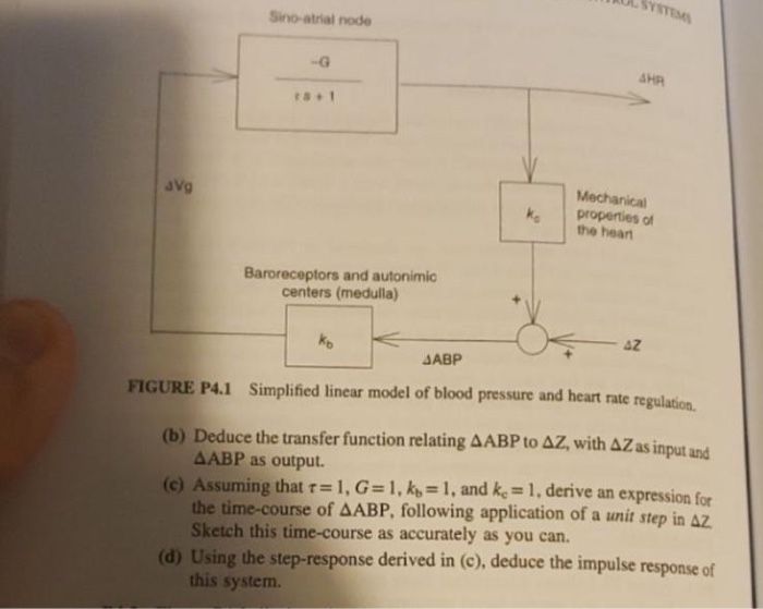 PA1. Figure P4.1 shows a simplified linear model of | Chegg.com