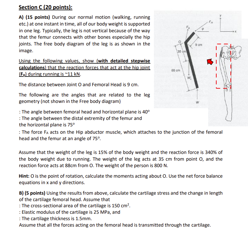 Solved Section C (20 ﻿points):A) (15 ﻿points) ﻿During our | Chegg.com